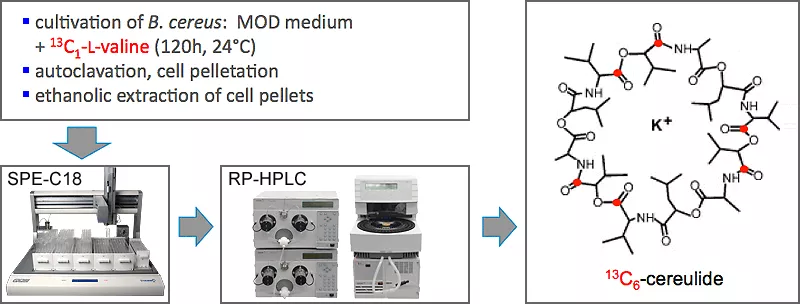 Synthesis - Food Chemistry and Molecular Sensory Science