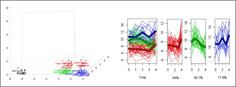 Bioinformatics - Lebensmittelchemie und molekulare Sensorik