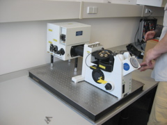 The setup of the new and shiny Olypmus FV1000 confocal microscope ...