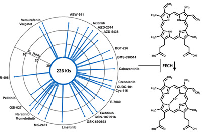 Chemical Proteomics Reveals Ferrochelatase as a Common Off-target of ...
